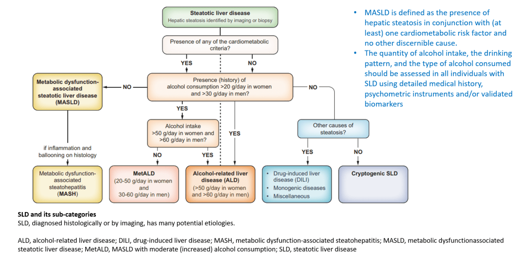 Case studies, samples, and publications – MedicoMindsPro